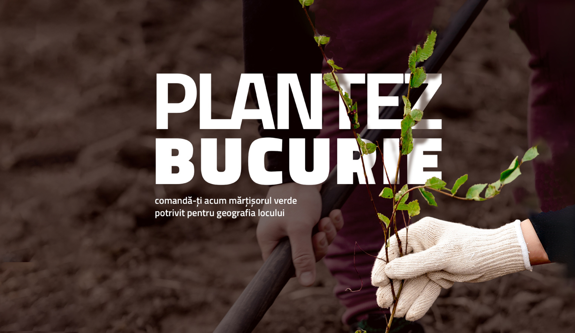 „Adoptă un copac!” - Informații generale despre proiect